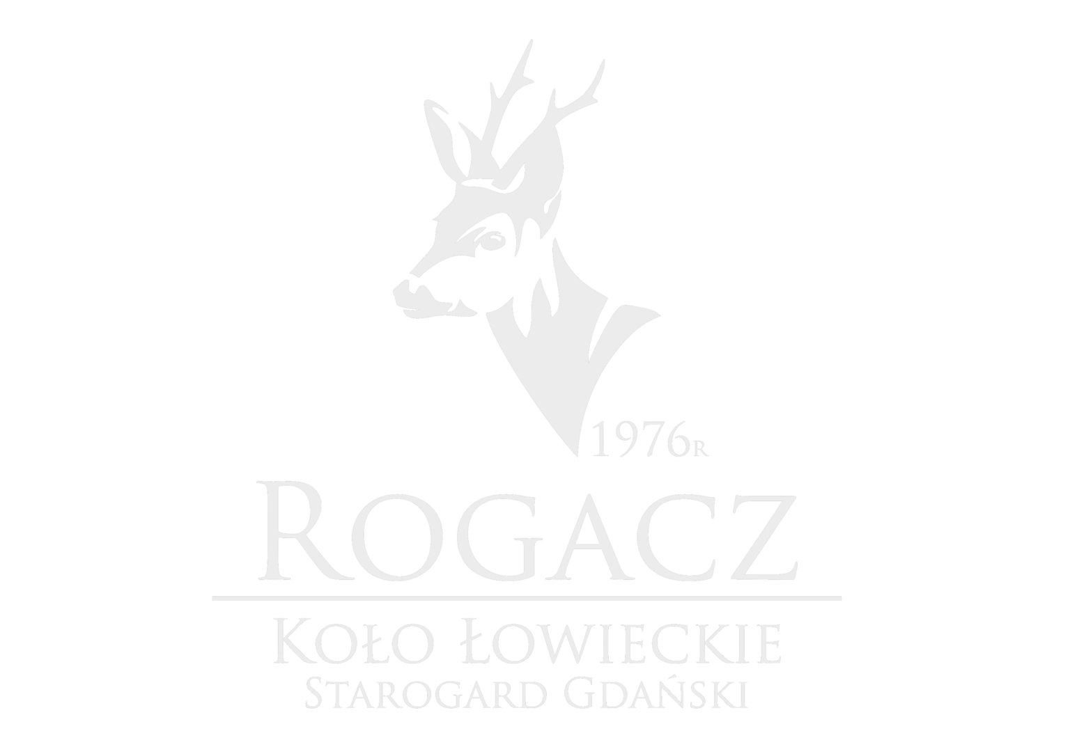 Dzik - Koło Łowieckie "Rogacz" w Starogardzie Gdańskim